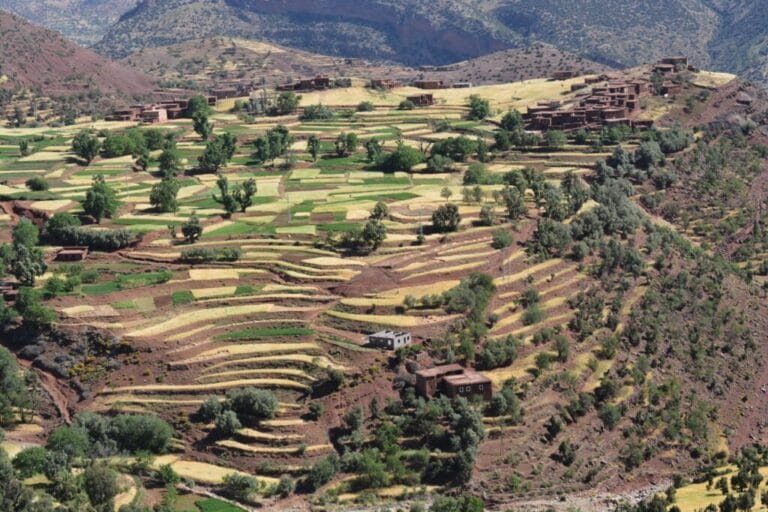 Esplora Marrakech in modo sostenibile: i migliori tour ecosostenibili ...